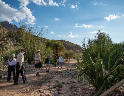 Boyce Thompson Arboretum - Arizona's oldest and largest botanical garden