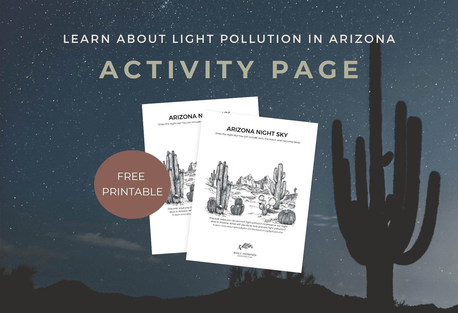 Native Plants of the Sonoran Desert: Learning and Scavenger Hunt ...