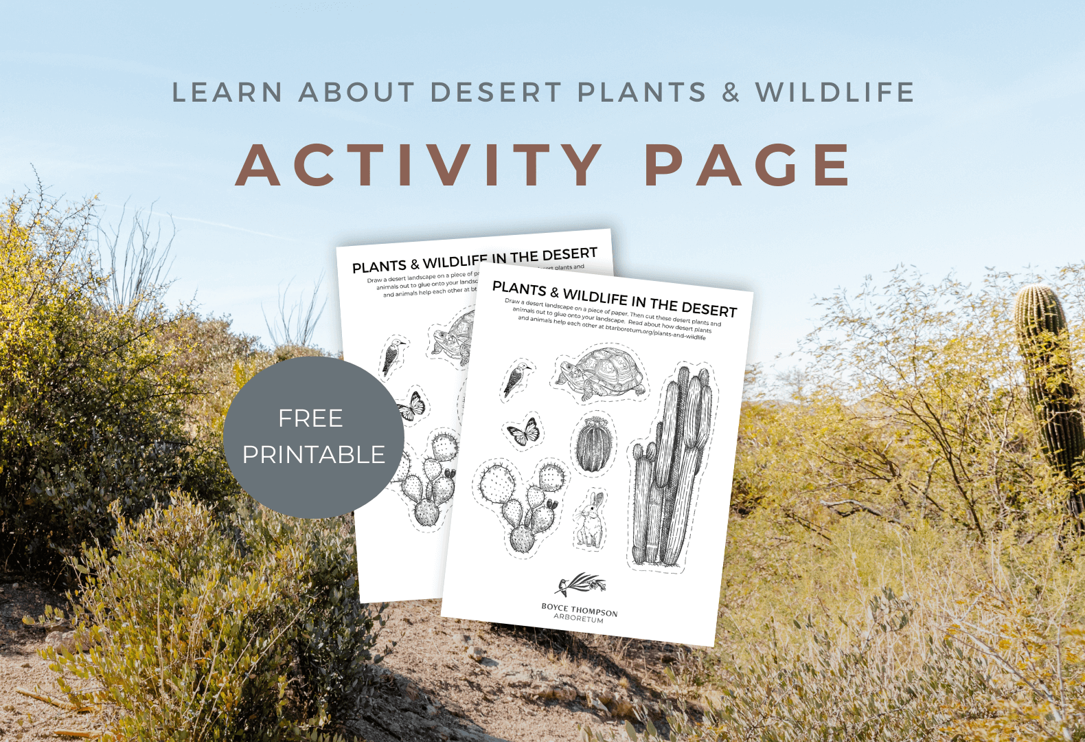 Native Plants of the Sonoran Desert: Learning and Scavenger Hunt ...